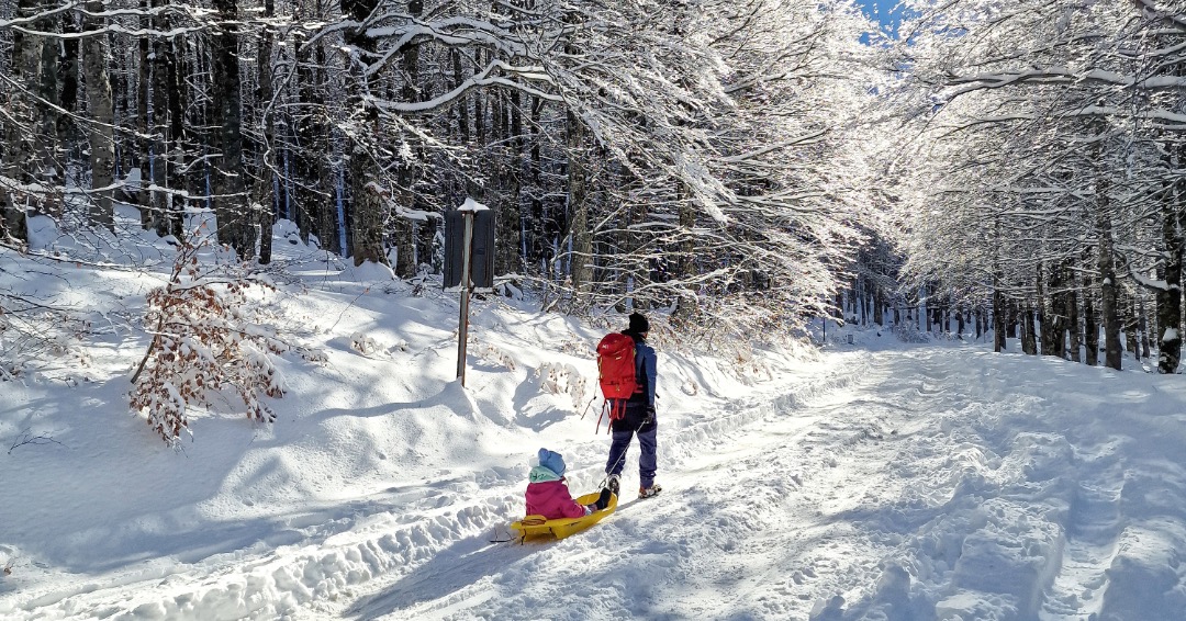 Abruzzo come in una fiaba: con i bambini nel bosco innevato per ...